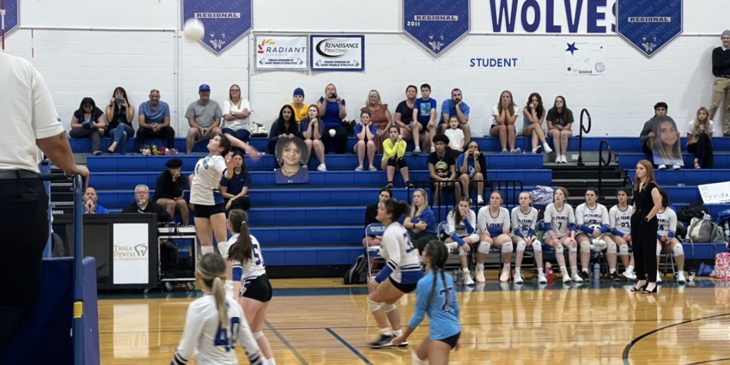 SFCA Wolves | Highlights & Signings