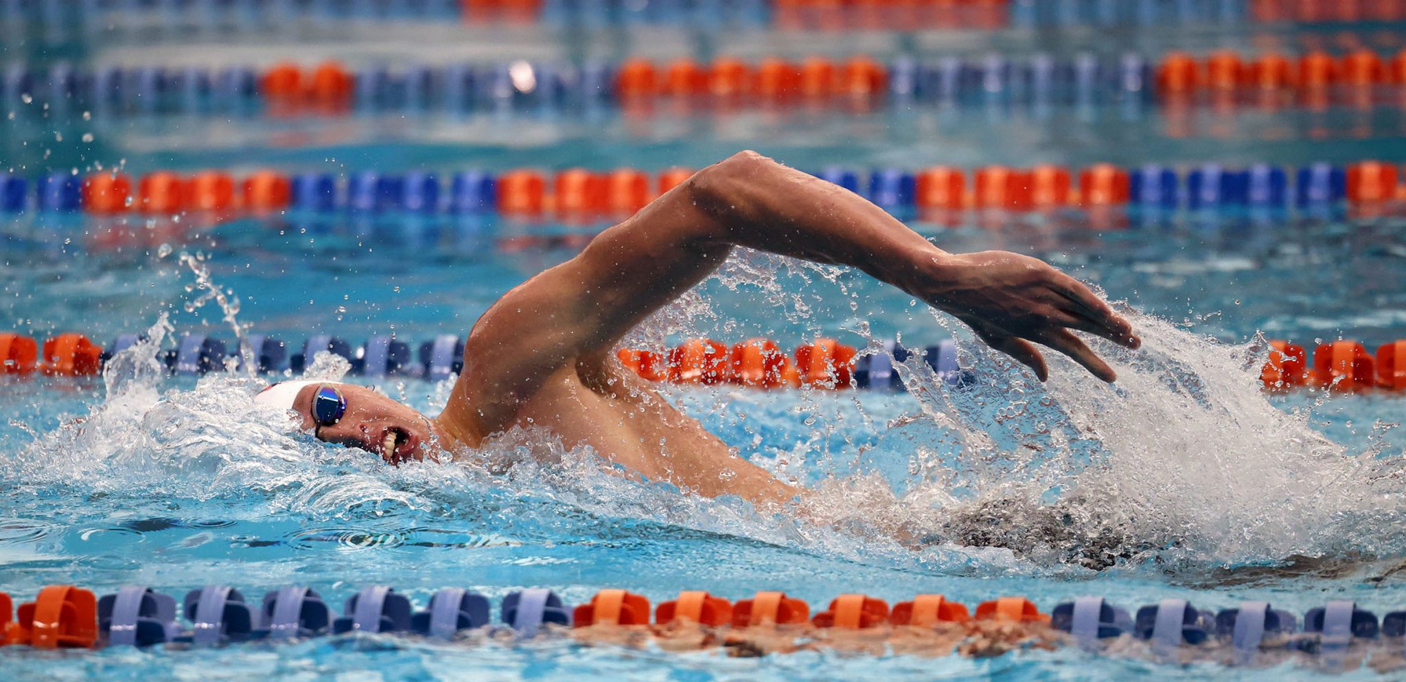 Gators Swim and Dive Finish Day Two of Florida Invite with Two A Cuts ...