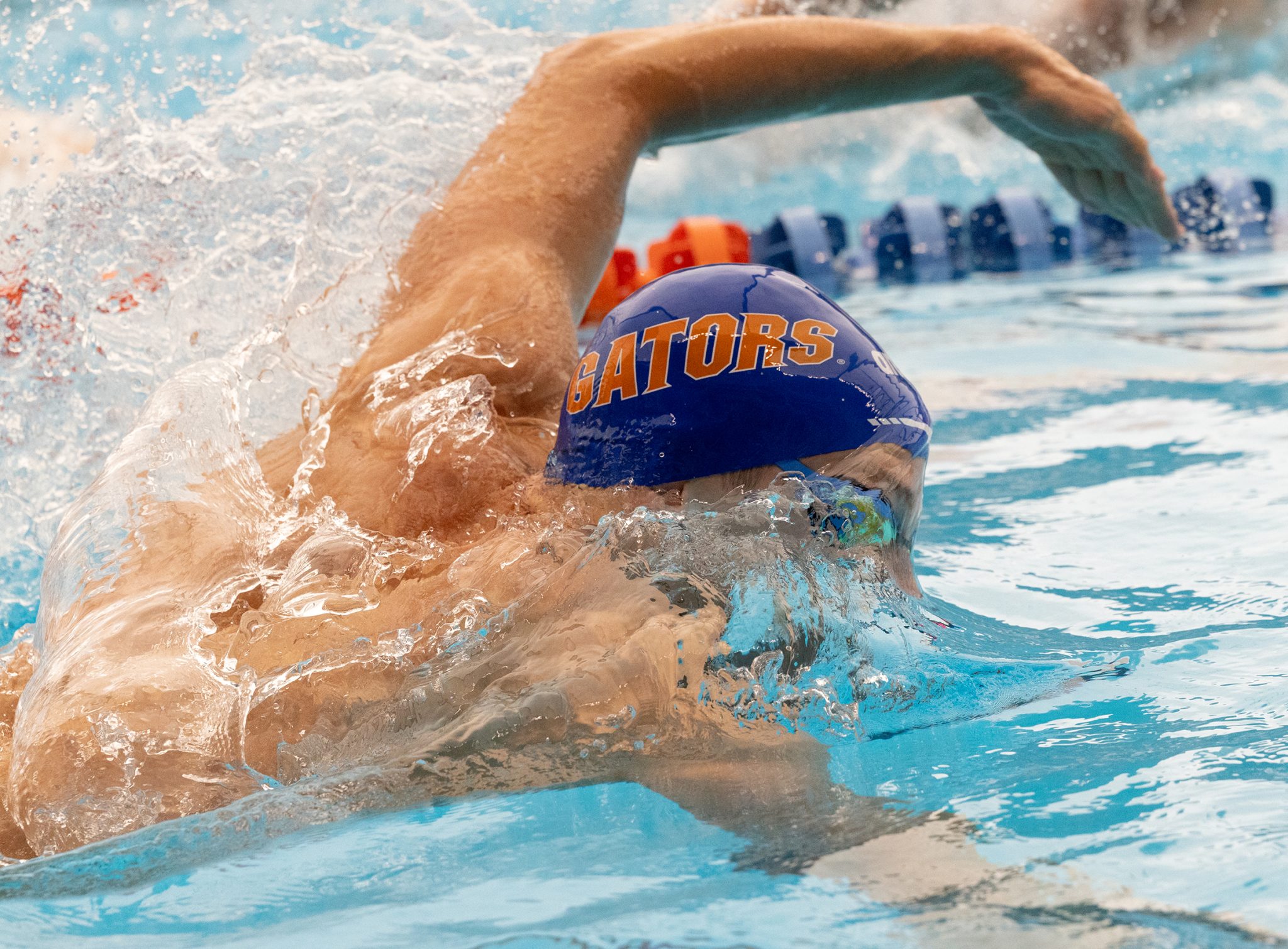Florida’s Swim and Dive First SEC Opponent in 2025: Texas A&M – WRUF 98 ...
