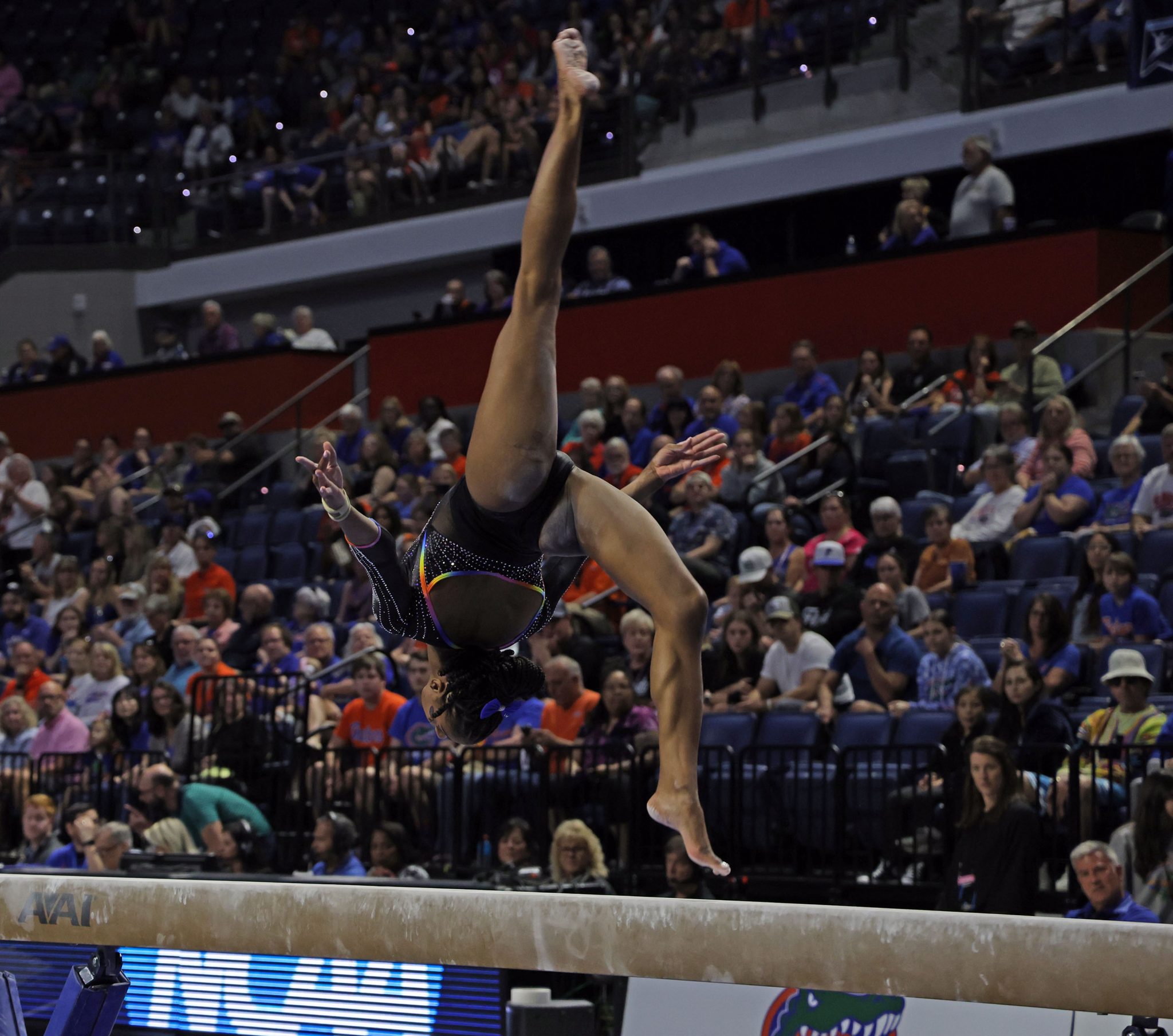 Gators Gymnastics Dominates in NCAA Gainesville Regional Final – WRUF ...