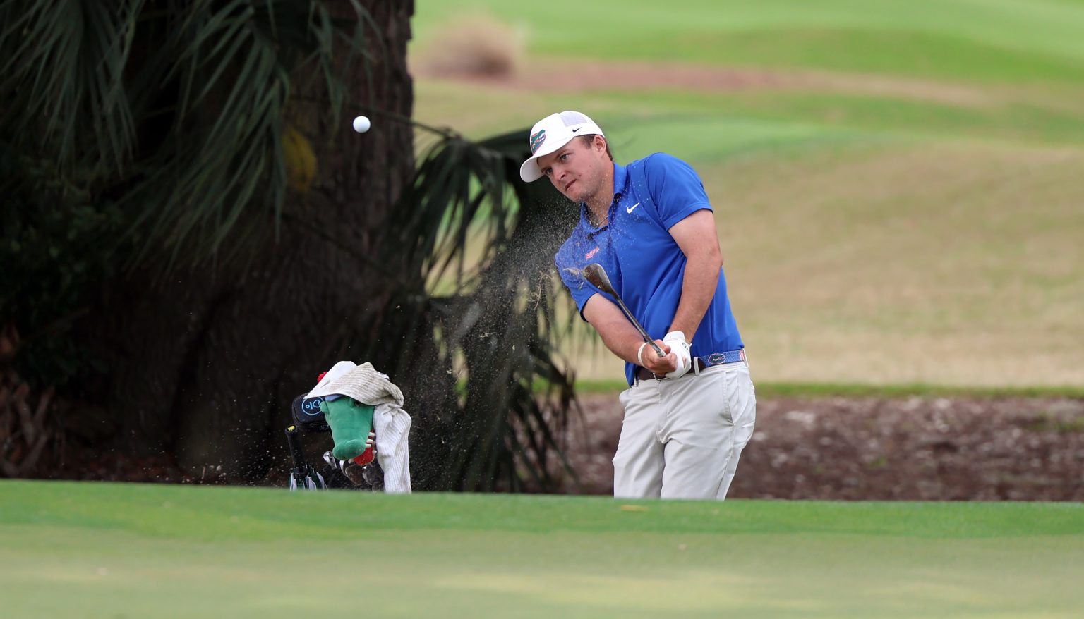 UF Men's Golf Sweeps To Win Sixth Straight Gators Invitational - WRUF ...