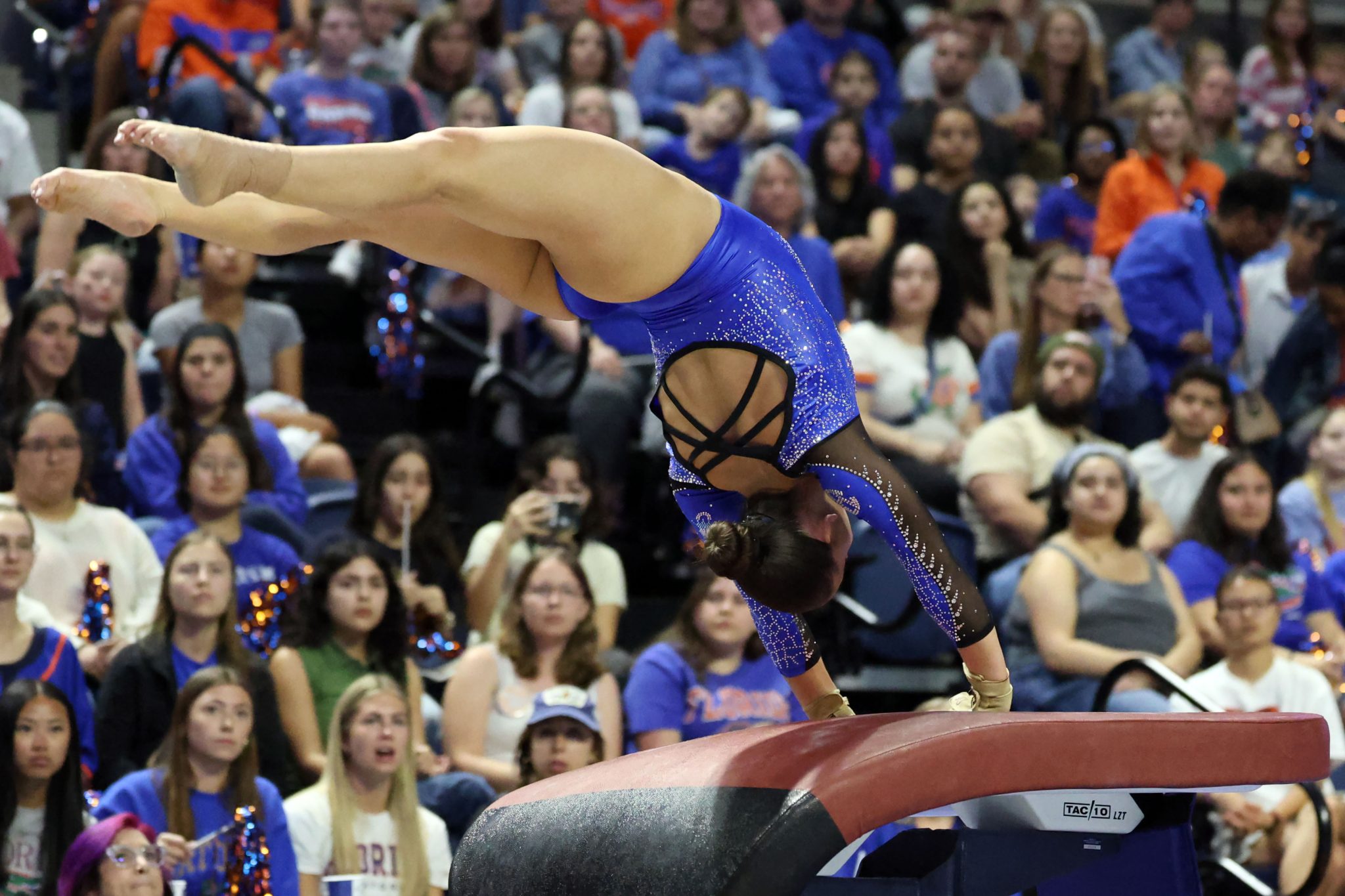 Florida Gymnastics Scores Three 10.0s In Win Against Kentucky - WRUF 98 ...