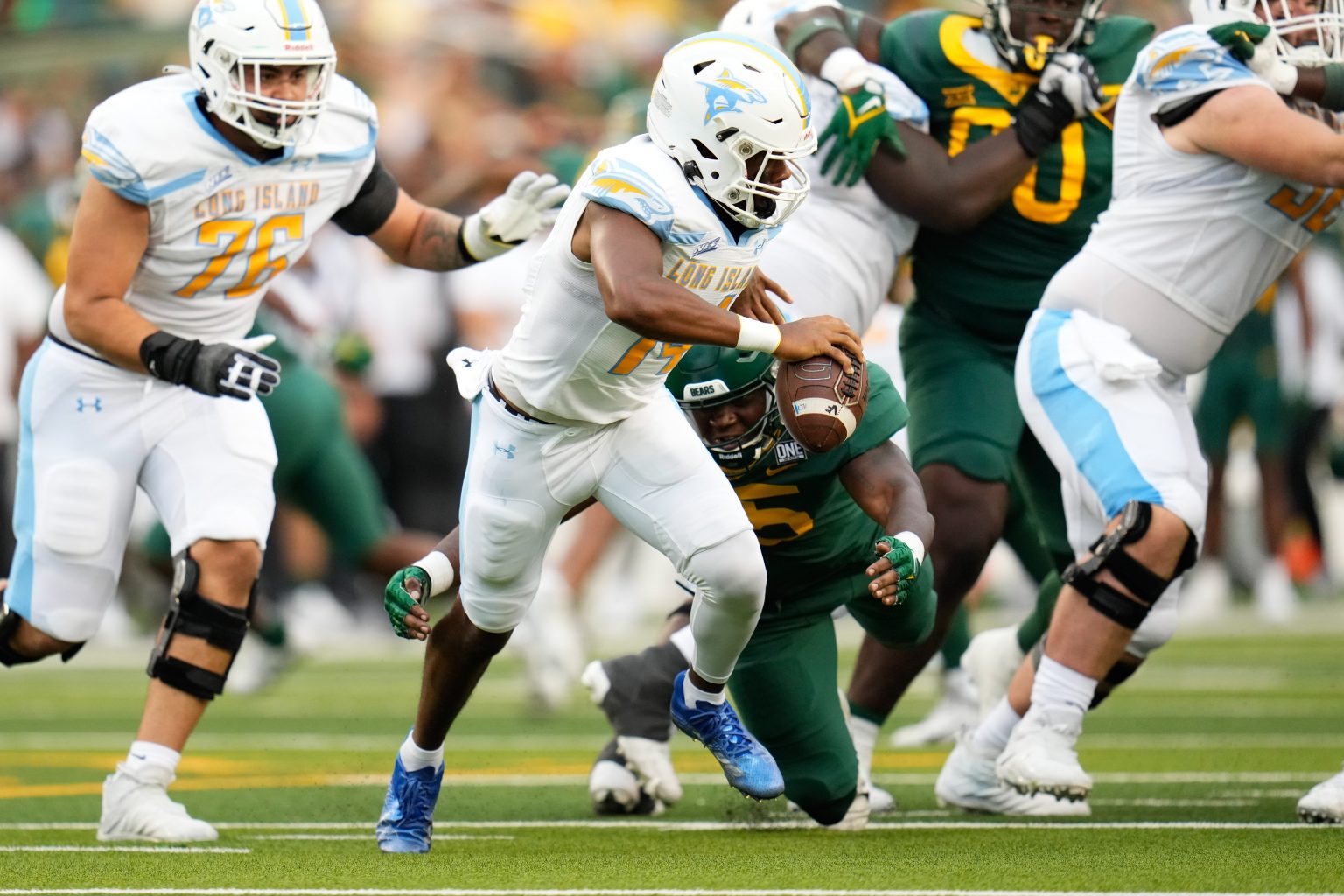 Who Is Ethan Greenwood? LIU Quarterback Faces Florida Football in ...